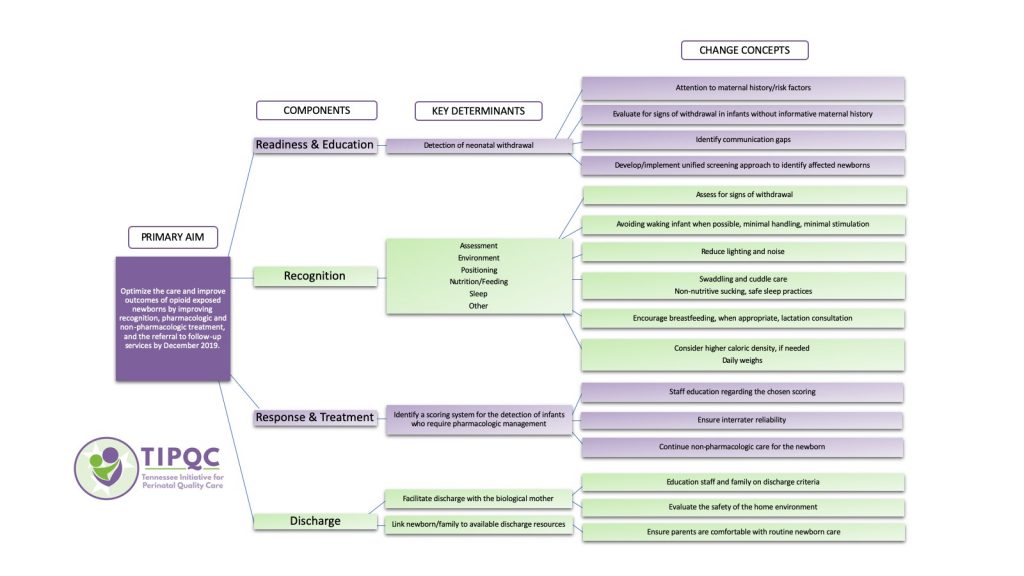 Project – Opioid Exposed Newborn – TIPQC
