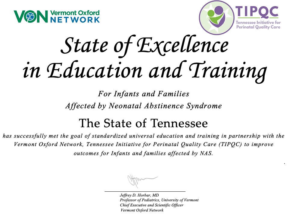 Project – VON Neonatal Abstinence Syndrome – TIPQC